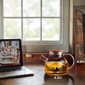 PARACITY Glass Teapot Stovetop 20 OZ/600ml, Borosilicate Clear Tea Kettle with Bamboo Lid, Glass Tea pot with Removable Filter Spout, Teapot Blooming and Loose Leaf Tea Maker Tea Brewer for Camping