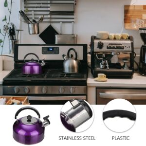 Tea Kettle for Stove Top: Purple Whistling Teapot 3Quart Stainless Steel Teapot Heating Water Container with Handle for Home Gas Stovetop