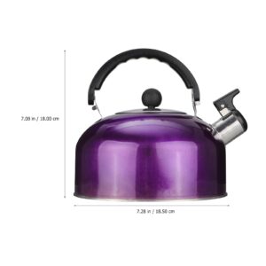 Tea Kettle for Stove Top: Purple Whistling Teapot 3Quart Stainless Steel Teapot Heating Water Container with Handle for Home Gas Stovetop