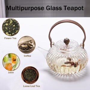 Motanber Pumkin Glass Teapot,Stovetop & electric stove Safe,clear kettle with infuser,27 oz(800ml), For Blooming Flower Tea and Loose Leaf Tea Maker Set