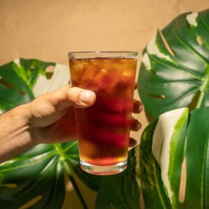 Sunset Peach Black Iced Tea - 8 Individual .75oz Filter Pouch Cold Brew Tea Bags, Each Yields 60oz of Tea - Packed in Resealable Bag