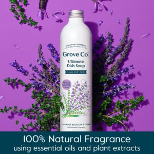 Grove Co. Ultimate Dish Soap Refills (3 x 16 Fl Oz) Removes 48-hr Stuck-on Food and Grease, Plastic Free Cleaning Products, 100% Natural Lavender Blossom & Thyme Fragrance