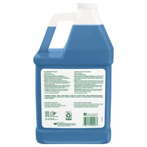 Palmolive 40043 OXY Power Degreaser for Pots and Pans, 1 gallon Bottle