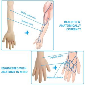 WELLiSH IV Practice Arm Infusion Model, Venipuncture Training Model Phlebotomy Practice Kit Injection Blood Drawing Model