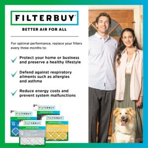 Filterbuy 20x25x4 Air Filter MERV 8 Dust Defense (1-Pack), Pleated HVAC AC Furnace Air Filters Replacement (Actual Size: 19.50 x 24.50 x 3.63 Inches)