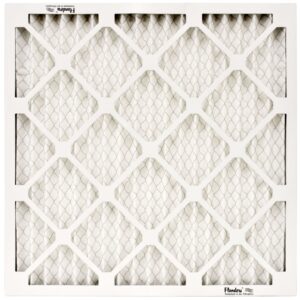 Flanders 84858.012025 NaturalAire Standard Air Filter MERV 1-inch, 20" x 25". (Pack of 12)