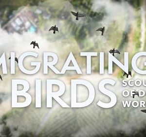 Migrating Birds: Scouts of Distant Worlds