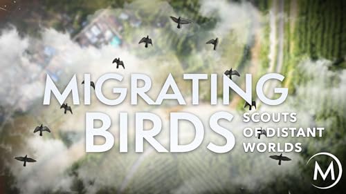 Migrating Birds: Scouts of Distant Worlds