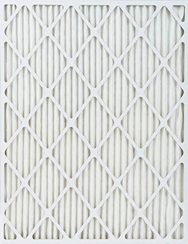 True Blue Allergen Protection 16x25x1 Air Filter, MERV 11, 4-Pack