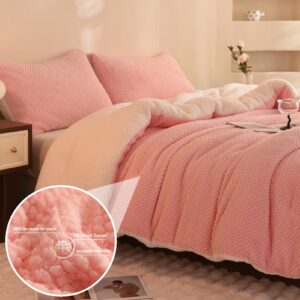 LLanCL 3D Jacquard Design Comforter Set, Ultra-Soft Warm Queen Size Sherpa Fur Plush 3-Pieces Sets Luxury Cozy Bedding with 2 Pillowcases (90"x90", Pink)