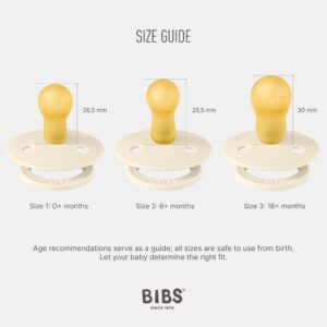 BIBS Pacifiers | Natural Rubber Baby Pacifier | Set of 2 BPA-Free Soothers | Made in Denmark | Sage/Ivory | Size 0-6 Months