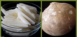 true jicama seeds,pachyrhizus erosus a.k.a,climbing yam bean, mexican turnip(40 seeds)