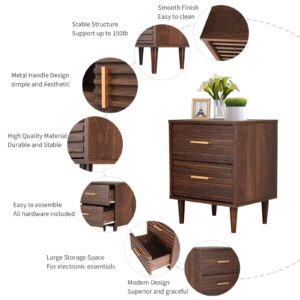 Nightstand Set of 2, Lumelay Mid-Century Modern Bedside Table with 2 Storage Drawers and Solid Wood Leg, Vintage Night Stand Wood Side Table Sofa End Table Accent Table Dresser for Bedroom, Livingroom