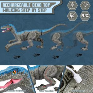 CUKU Remote Control Dinosaur for Kids,2.4G Electronic RC Toys Velociraptor with 3D Eye Shaking Head &Roaring Sounds,Indoor Toys for 5 6 7 8 Year Old Gifts