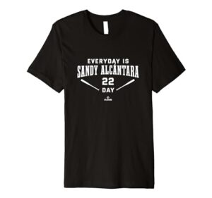 everyday is sandy alcantara day miami mlbpa premium t-shirt