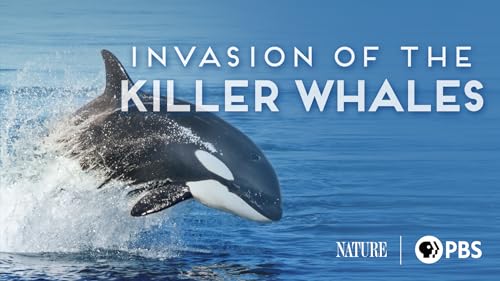 Invasion of the Killer Whales