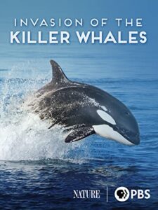 invasion of the killer whales