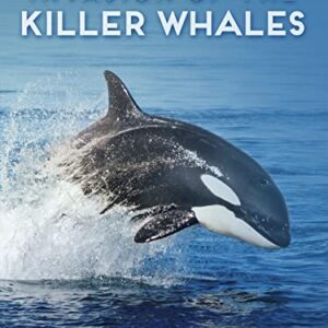 Invasion of the Killer Whales