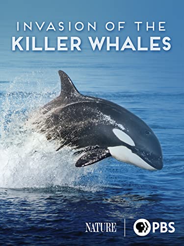 Invasion of the Killer Whales