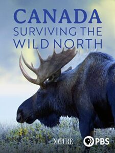 canada: surviving the wild north