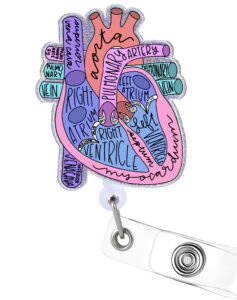 cardiac badge reel holder retractable with id clip for nurse nursing name tag card heart anatomy nursing student doctor rn lpn medical assistant work office alligator clip badge accessories