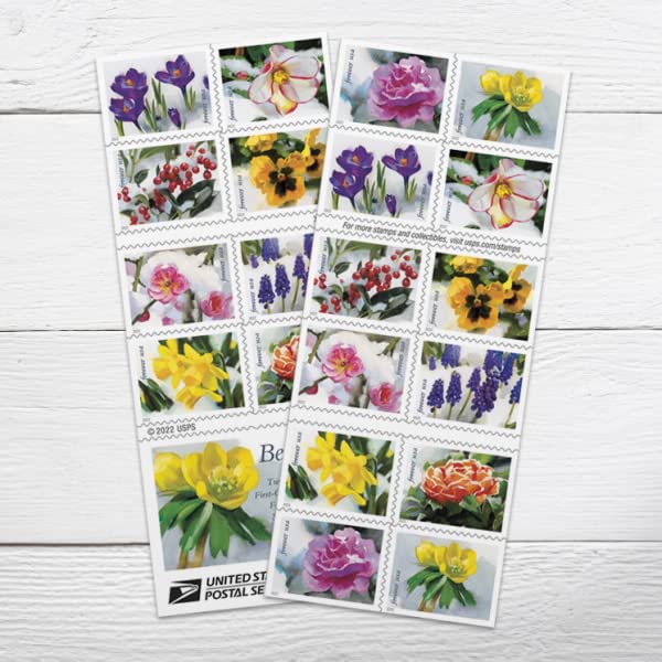 Snowy Beauty (Booklet of 20) Forever Postage Stamps, Self-Adhesive, Garden, Wedding, Love, Celebration, Holiday, Winter, Flower, 2022 Scott #5727-5736