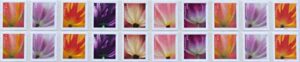 usps 2023 tulip blossoms forever first class postage stamps (20 count strip)