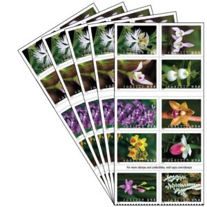 wild orchids 5 books of 20 usps postal first class forever us postage stamps birthday wedding celebration engagement anniversary bridal shower