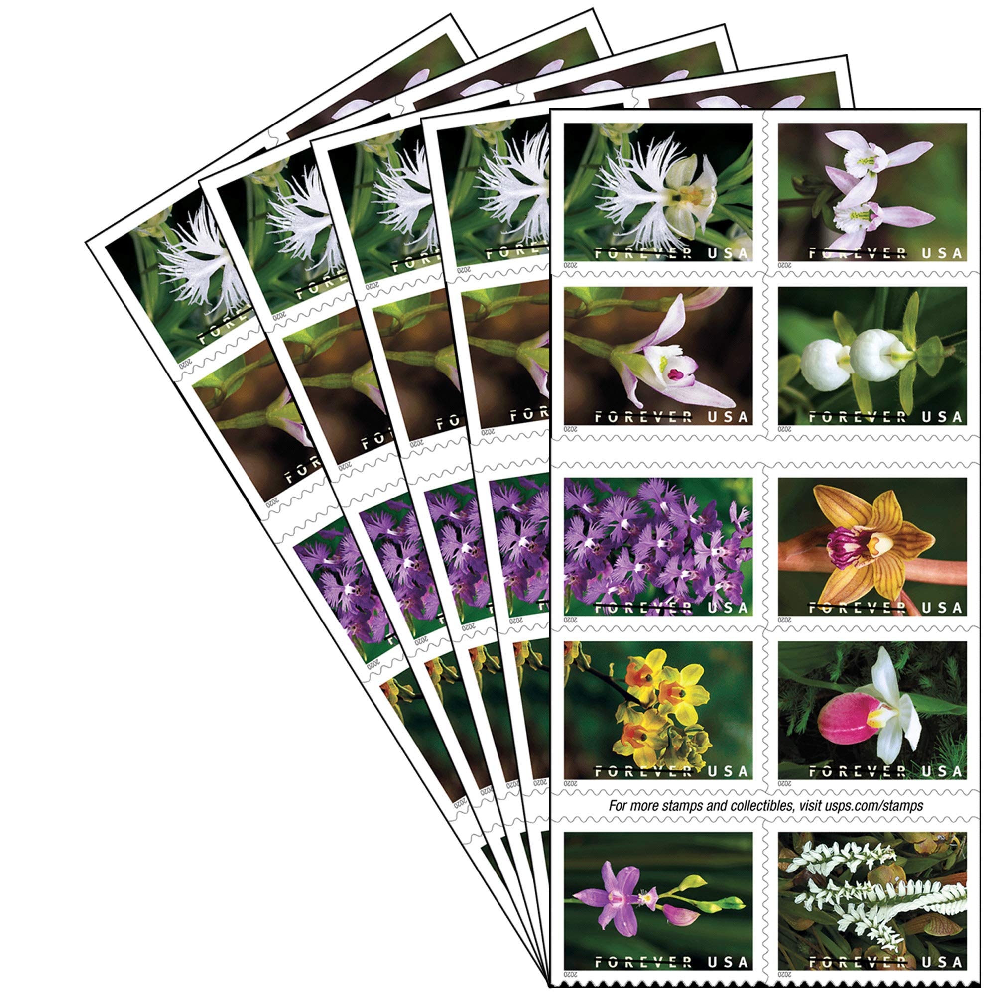 Wild Orchids 5 Books of 20 USPS Postal First Class Forever US Postage Stamps Birthday Wedding Celebration Engagement Anniversary Bridal Shower