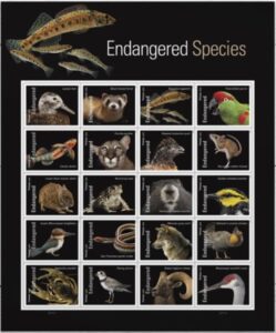 endangered species (sheet of 20) postage forever stamps us postal first class animal bird fish duck wildlife habitat announcement celebrate anniversary wedding 2023 scott #5800