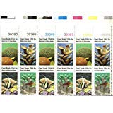 1980 coral reefs #1830a plate block of 12 x 15 cents us postage stamps