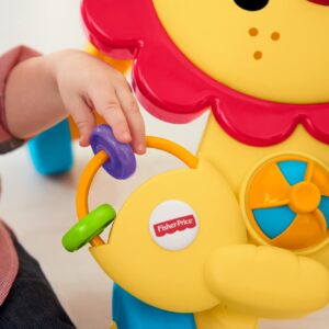 Fisher-Price Baby & Toddler Toy Musical Lion Walker Push Along with Lights Sounds & Developmental Activities for Ages 6+ Months