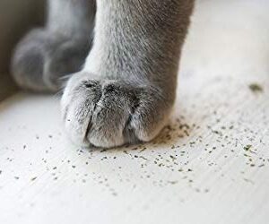 Paw Natural OG - Ground Catnip