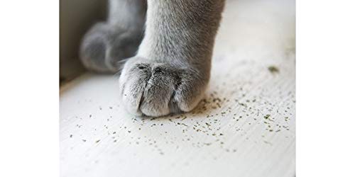 Paw Natural OG - Ground Catnip