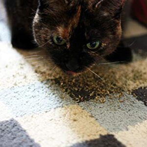 Paw Natural OG - Ground Catnip