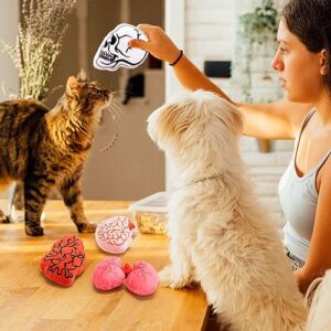 Petsinurarea Anatomical Catnip Toys Halloween Cat Toys Heart Brain Chew Bite Resistant Toys for Cats Boredom Relief Teeth Cleaning Interactive Cat Toys Catnip Filled Christmas Cat Lover Gift Set of 4