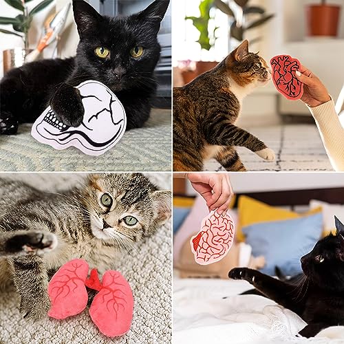 Petsinurarea Anatomical Catnip Toys Halloween Cat Toys Heart Brain Chew Bite Resistant Toys for Cats Boredom Relief Teeth Cleaning Interactive Cat Toys Catnip Filled Christmas Cat Lover Gift Set of 4