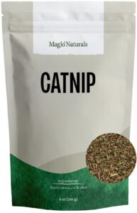 magjo naturals farm direct catnip | freshest available | bulk bag (half pound)