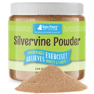 raw paws silvervine powder, 75 grams - 2x more attractive than catnip for cats, 100% silver vine gall fruit powder, matatabi silvervine cat toy for indoor cats, catnip kitten toys, silvervine for cats