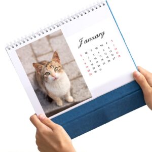 Personalized Desk Custom Calendar 2024 Personalized Calendar with Your Photo/Pet Photo, 13 Pictures Calendar DIY Gifts for School, Office, Home,Wedding Gift