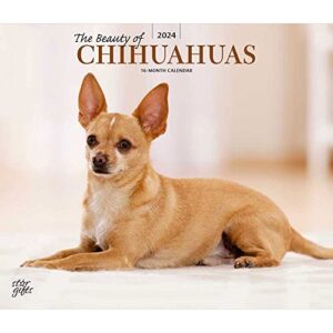 the beauty of chihuahuas | 2024 14 x 24 inch monthly deluxe wall calendar | sticker sheet | stargifts | animal dog breeds