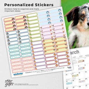 The Beauty of Australian Shepherds | 2024 12 x 24 Inch Monthly Square Wall Calendar | Sticker Sheet | StarGifts | Animals Dog Breeds