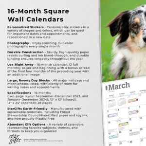 The Beauty of Australian Shepherds | 2024 12 x 24 Inch Monthly Square Wall Calendar | Sticker Sheet | StarGifts | Animals Dog Breeds