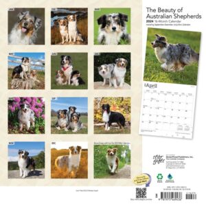 The Beauty of Australian Shepherds | 2024 12 x 24 Inch Monthly Square Wall Calendar | Sticker Sheet | StarGifts | Animals Dog Breeds