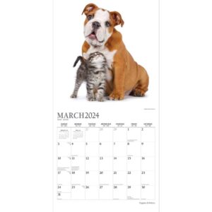 Puppies & Kittens | 2024 12 x 24 Inch Monthly Square Wall Calendar | Sticker Sheet | StarGifts | Animals Cute Kitten Pets