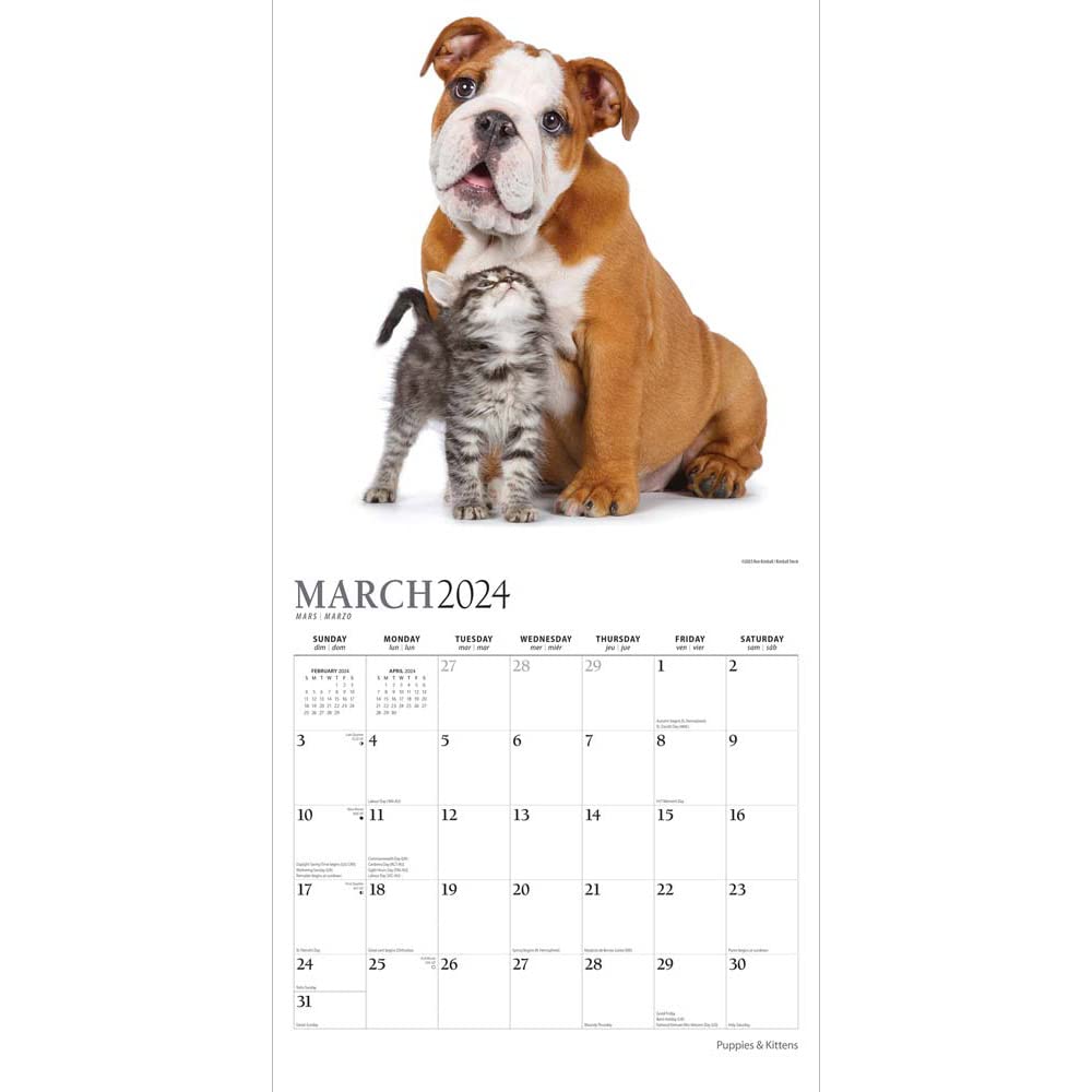 Puppies & Kittens | 2024 12 x 24 Inch Monthly Square Wall Calendar | Sticker Sheet | StarGifts | Animals Cute Kitten Pets