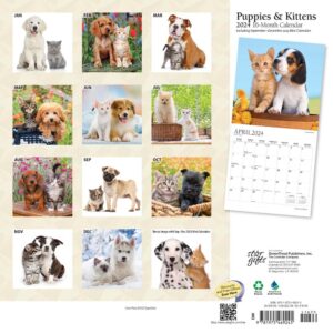 Puppies & Kittens | 2024 12 x 24 Inch Monthly Square Wall Calendar | Sticker Sheet | StarGifts | Animals Cute Kitten Pets