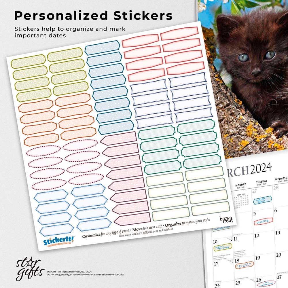 The Beauty of Black Cats | 2024 12 x 24 Inch Monthly Square Wall Calendar | Sticker Sheet | StarGifts | Animals Kittens Feline