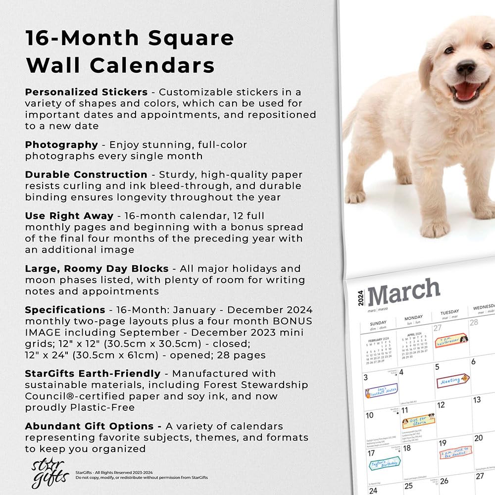 The Beauty of Golden Retriever Puppies | 2024 12 x 24 Inch Monthly Square Wall Calendar | Sticker Sheet | StarGifts | Animals Dog Breeds Puppy