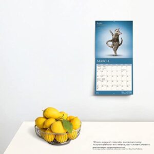 Yoga Kittens OFFICIAL | 2024 7 x 14 Inch Monthly Mini Wall Calendar | BrownTrout | Animals Humor Cats Feline